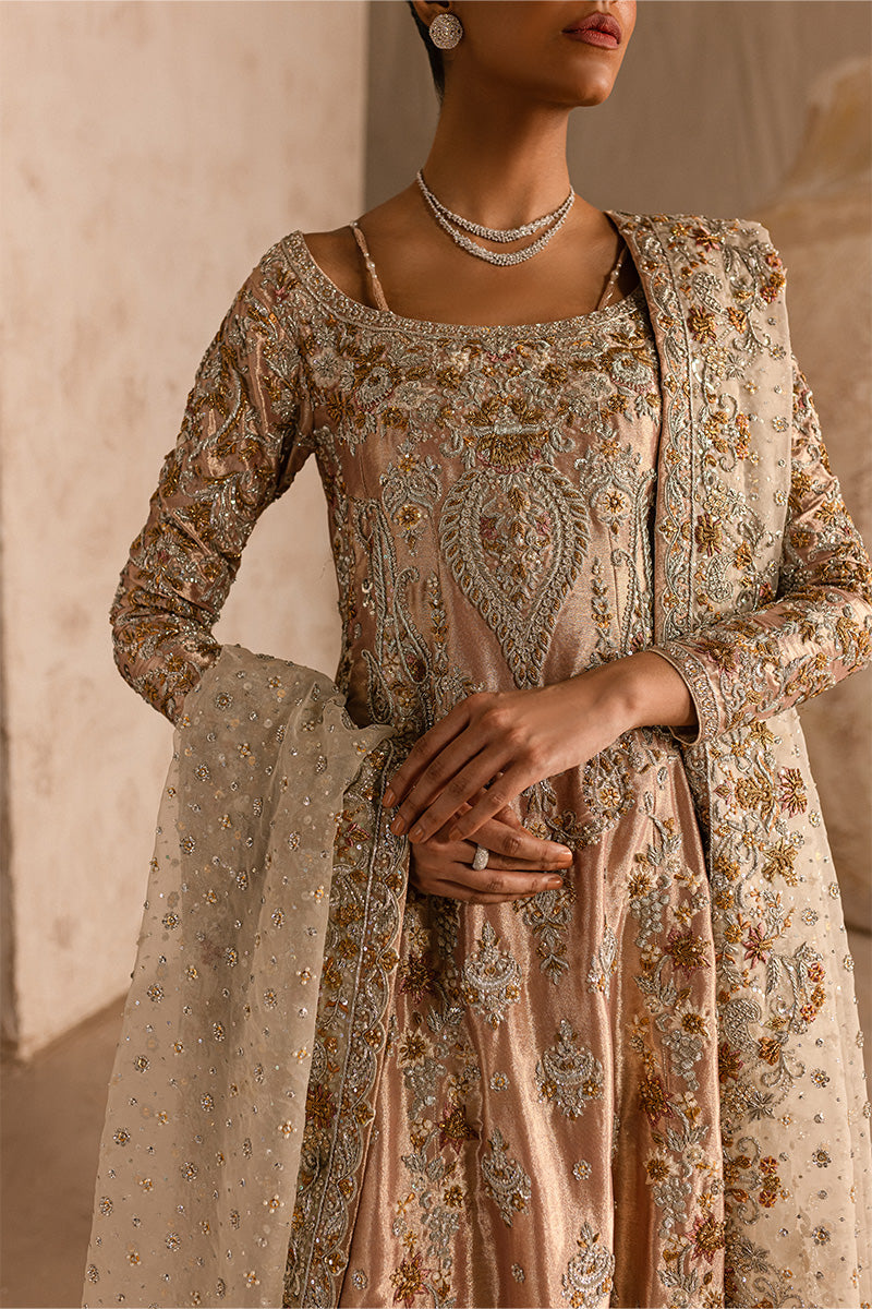 Sarah – Blush pink Lame’ Pishwaas with Banarsi Farshi Lehnga | Aneeka ...